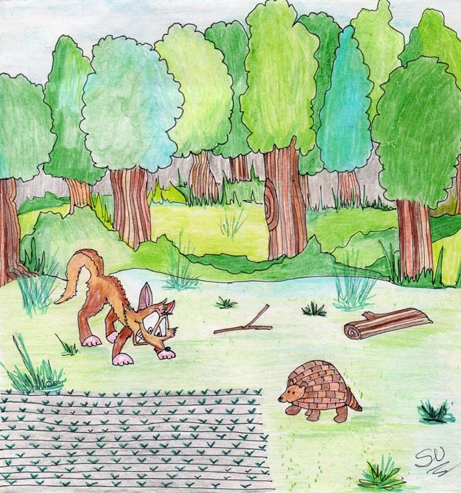 EL ZORRO Y EL QUIRQUINCHO